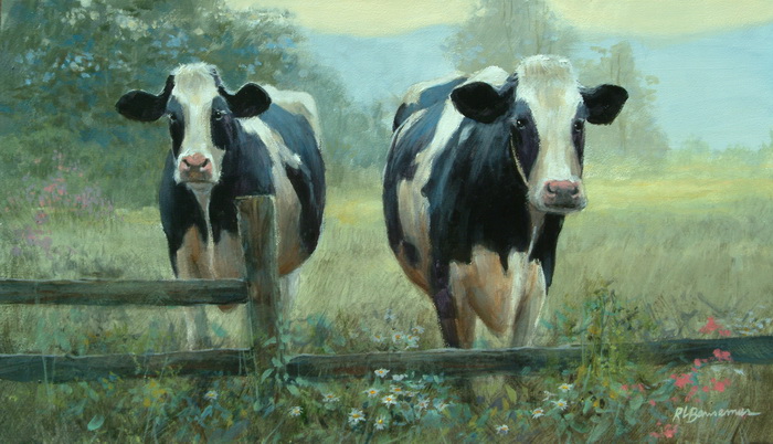 Cow Country - Bansemer Studio & Gallery of Fine Art